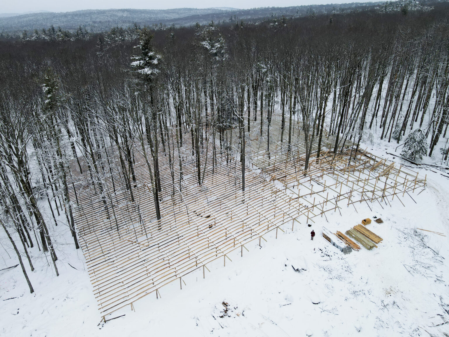 Research Spotlight: The Interactive Effects Between Forest ...