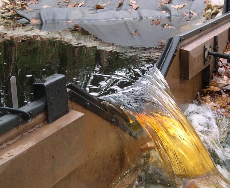 Data in Real Time - Harvard Forest