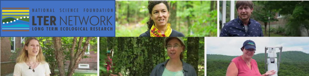 Video Series Offers Snapshots of Long-Term HF Research - Harvard Forest