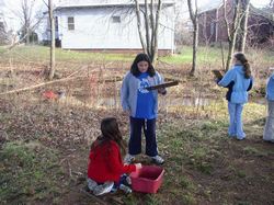 Vernal Pools - Harvard Forest