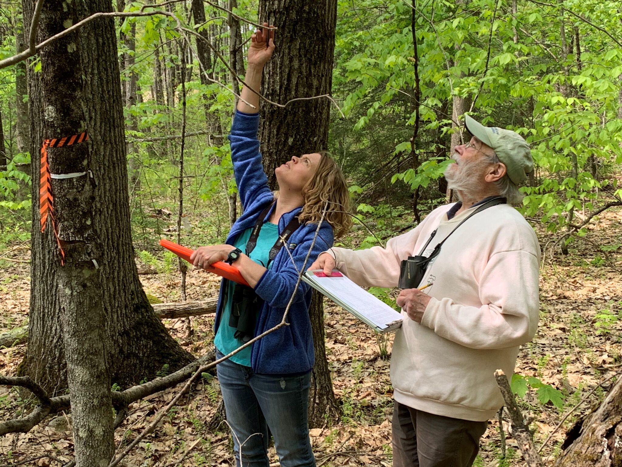 Conducting Research - Harvard Forest