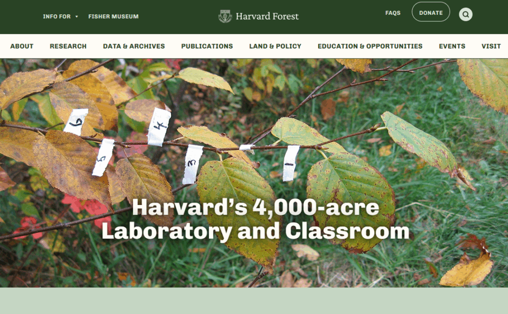 We’ve Launched our New Website! - Harvard Forest