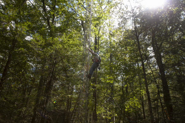 New Chapter for the Forest's Signature Climate Research Tower - Harvard ...